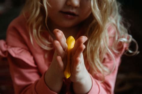 Diy Beehive With Bees Forage Create Love