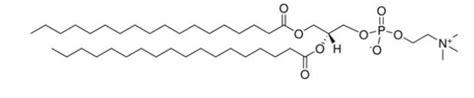 Dspc Cd Bioparticles