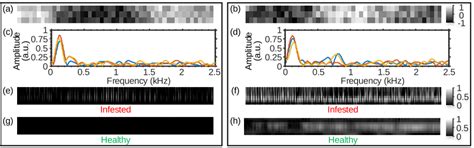 Pdf Monitoring The Red Palm Weevil Infestation Using Machine Learning