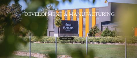 Prima Declarație A Acţionarului Producătorului De îmbrăcăminte Pandora