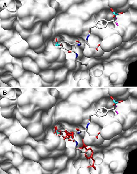 Structure Of The Ptp1bcompound 3 Complex A The Bidentate Ligand