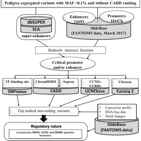 Overview Of Strategies For Regulatory Variant Detection In The