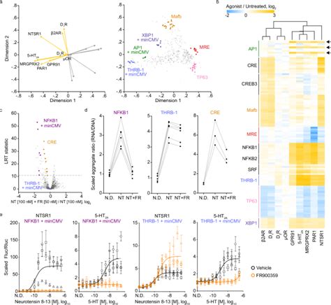 A Massively Parallel Reporter Assay Library To Screen Short Synthetic Promoters In Mammalian Cells