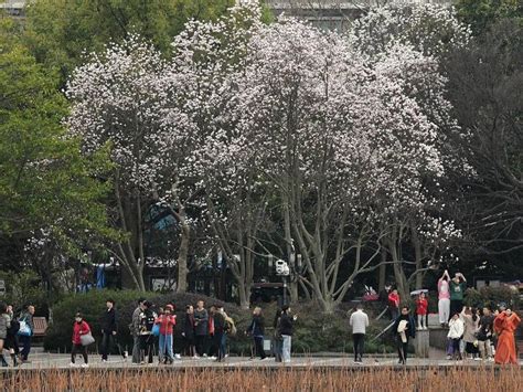 尽早谋划轨道交通进景区？持续关注西湖景区治堵，潮新闻钱江晚报多条建议被采纳