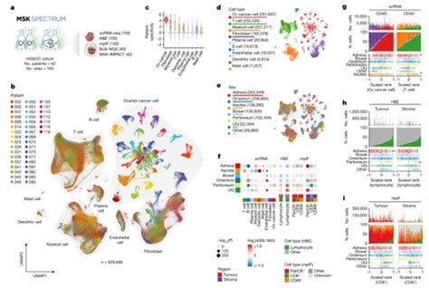 Ovarian Cancer Mutational Processes Drive Site Specific Immune Evasion