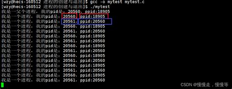 Linux fork创建子进程详解 CSDN博客