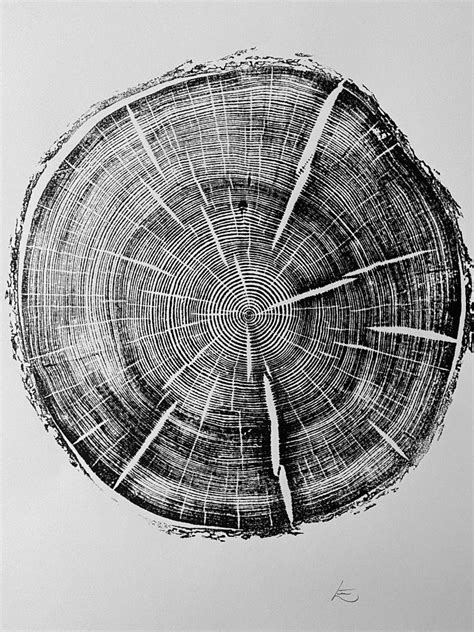 Black Hills South Dakota Tree Ring Print Pine Tree Print Tree Ring Art Tree Rings Tree