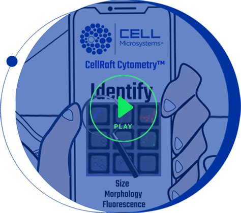 Cell Microsystems How The Cellraft Technology Works Cell Microsystems How The Cellraft Technology Works