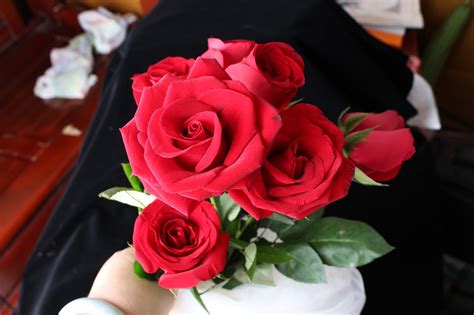 장미 붉은 꽃 Pixabay의 무료 사진 Pixabay