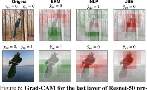 Figure 1 From Removing Spurious Concepts From Neural Network