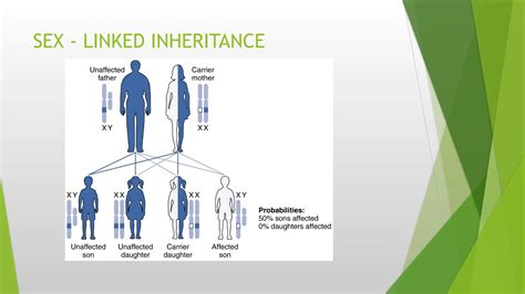 Opt Scienceheriditypptx Pptx