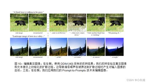 Prompt To Prompt Image Editing With Cross Attention Control Csdn博客