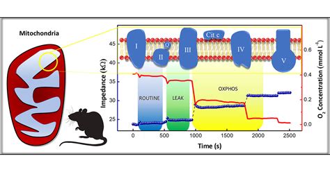 A Chemiresistor Sensor Based On Azo Polymer And Graphene For Real Time Monitoring Of