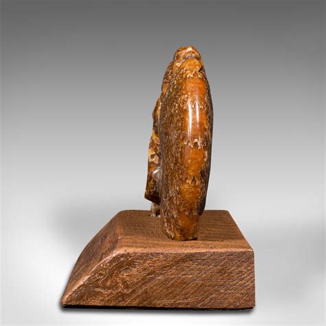 Vintage Carved Decorative Ammonite African Fossil Display Specimen London Fine Antiques