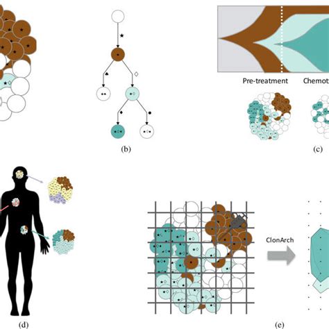Overview Of Current And Proposed Tools For Visualizing The Clonal Download Scientific Diagram