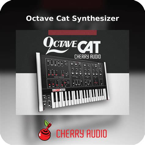 Buy Octave Cat Synthesizer Vst Plugins Samples And Kontakt Instruments