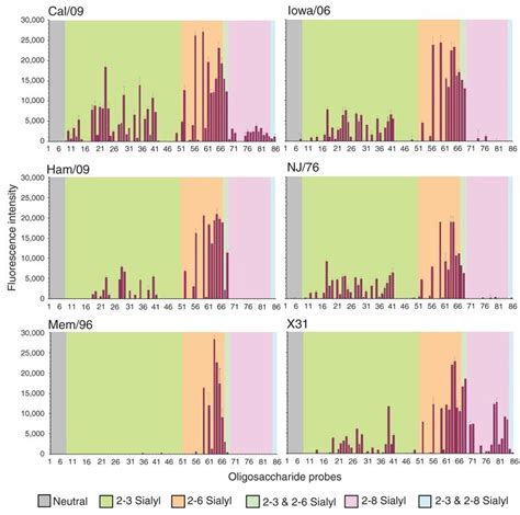 Carbohydrate Microarray Analyses Of The Six Viruses Download