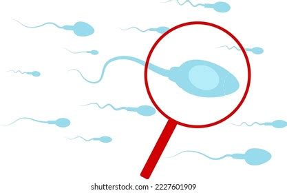 Spermogram Concept Clinical Test Male Fertility Stock Vector Royalty Free