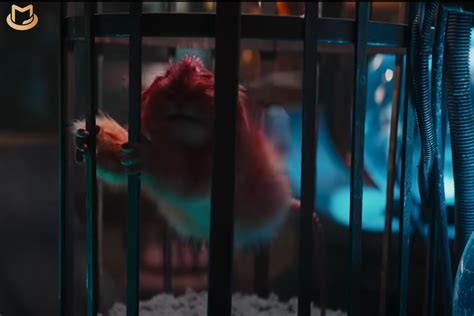 The Return Of Fuzzball Mjvibe