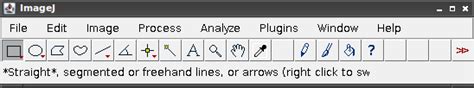 recording macros and batch processing · imagej gui