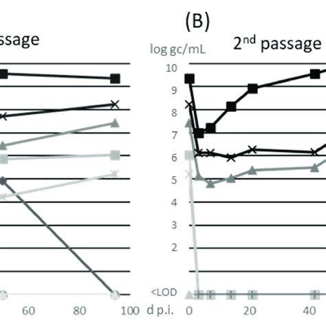 Detection Of Hev Rna In Cell Culture Supernatant After A Inoculation Download Scientific