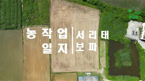콩파종기를 이용한 서리태 보파 L 청년후계농 농작업일지 Ep02 온담팜 Youtube