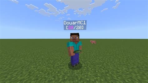 Display Player Mob Health Minecraft Bedrock Scripts CurseForge