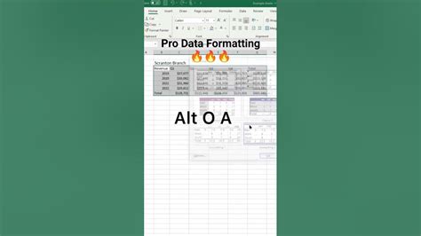 pro data formatting dashboard advanceexcel basicexcel exceltrick