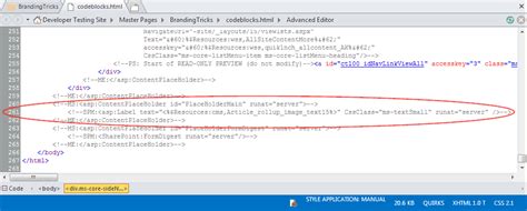 Branding SharePoint Tricks NET Code Blocks In Snippets Eric Overfield