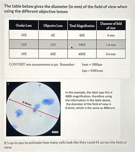 Solved Measuring Cells Although Some Microscope Lenses Have