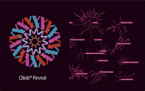 olink reveal seamlessly connects genomics and proteomics empowering