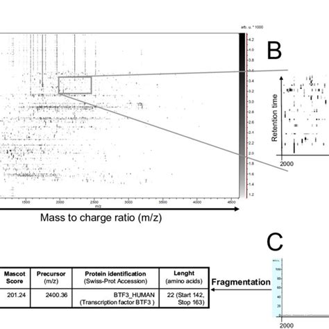 Differences Between Label Free Quantification A And Quantification By Download Scientific