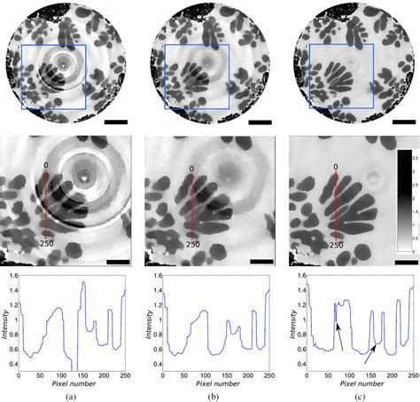 The Reconstructions Of A Slice From The Volume Using Different Methods Download Scientific