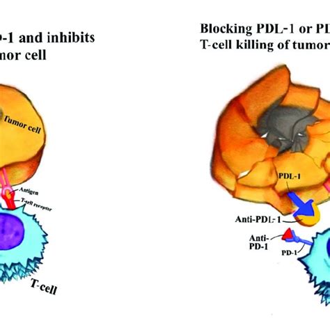 Treatment Recommendations For Different Irae Colitis Grades Reprinted Download Scientific