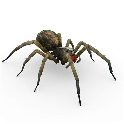 Wolf Spider Animated 3d Model 45 Max Free3d