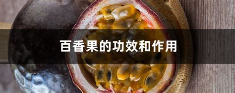 百香果的功效和作用 花百科