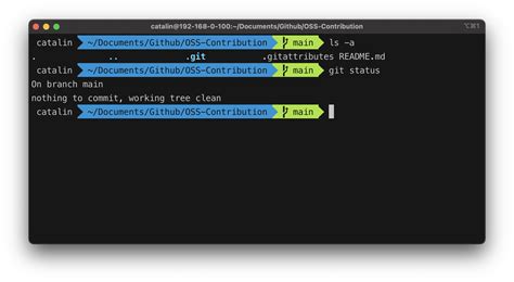 iterm2 oh my zsh supercharge your mac terminal