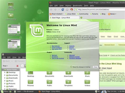 The Catling Mindswipe Review Linux Mint Debian Edition