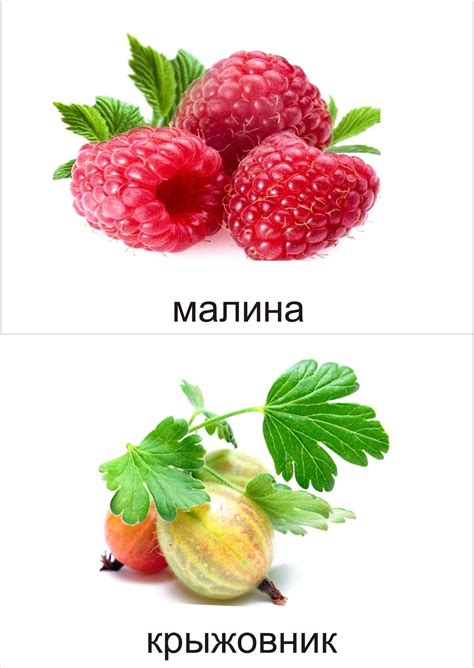 Пин на доске Милые рисунки Ягоды Для детей Детсадовские художественные проекты