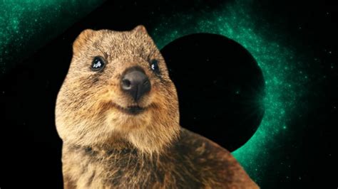 Conf42 On Linkedin Conf42 Online Conference Kubenative