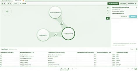 QliK Sense Managing Data Viewing Loading DataFlair