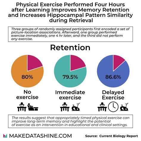 Physical Exercise Performed 4 Hours After Learning Improves Memory Retention Infographic