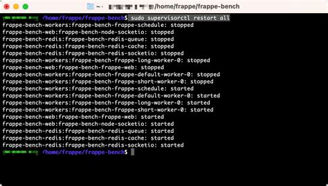 System Stops After Bench Restart ERPNext Frappe Forum