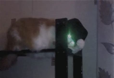 Micheal Catson Smoothest Of Criminals Rbossfight