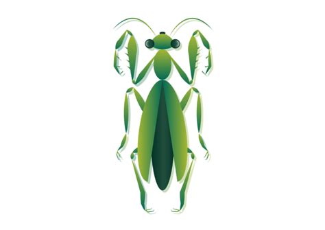 Green Grasshopper Clipart Flat Design Png Images Ai Free Download