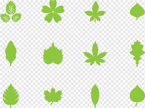 иконки с зелеными листьями, png | PNGWing