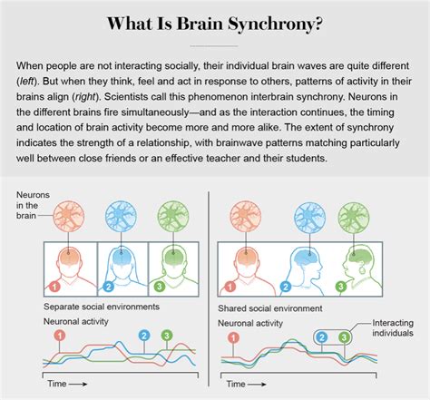 Social Interaction And The Synchrony Of Brain Waves — Agile Intellect