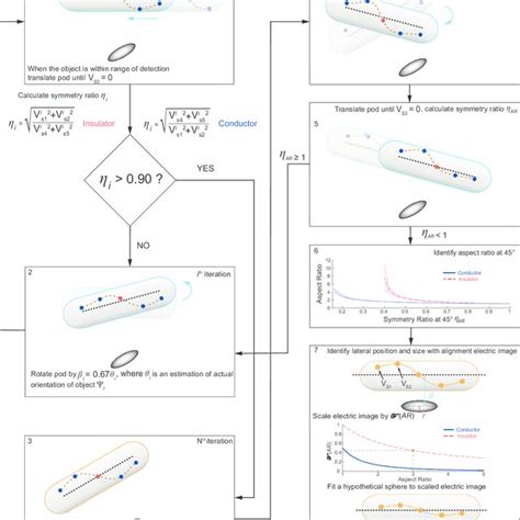 Algorithm Stages On The Left Alignment Longitudinal Position P 0 Download Scientific