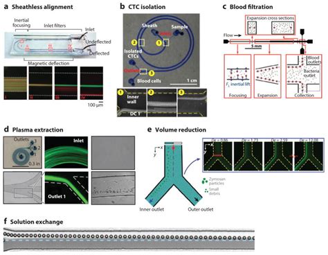 Inertial Focusing In Microfluidics Abstract Europe Pmc