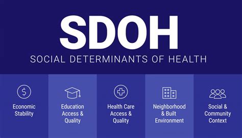 Social Determinants Of Health Health Equity FHIR Engine